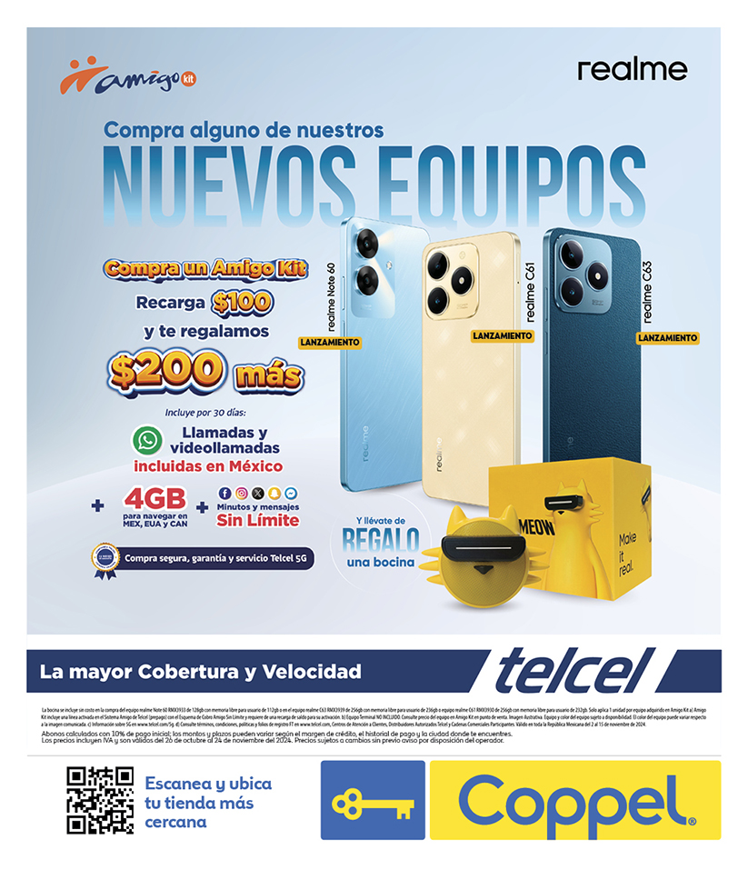 Periódico | Buen Fin